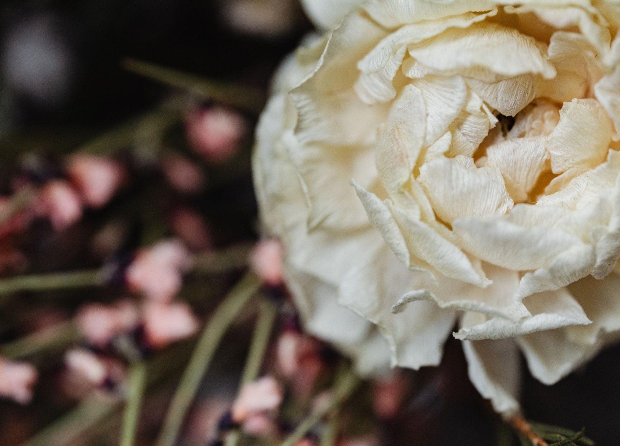 Oresta's Tips for Dry Skin – ORESTA clean beauty simplified