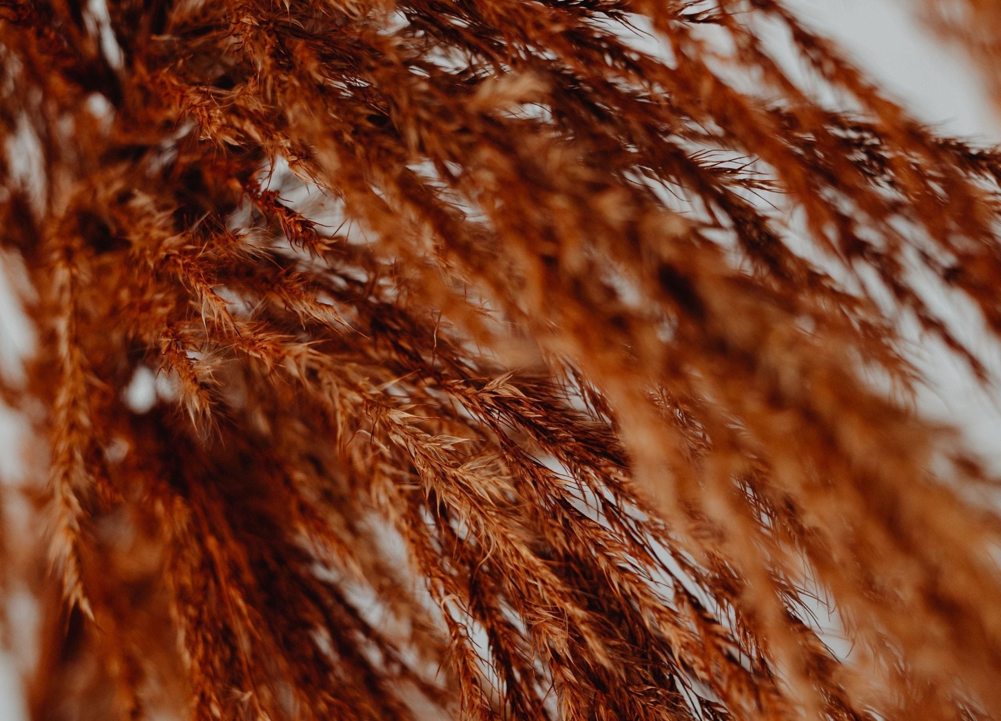 Oresta's Tips for Hyperpigmentation (Sun Damage) – ORESTA clean beauty ...