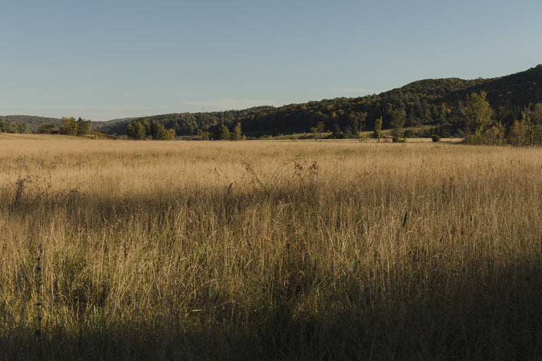 Every Child Matters - A poem to my Mom – ORESTA clean beauty simplified