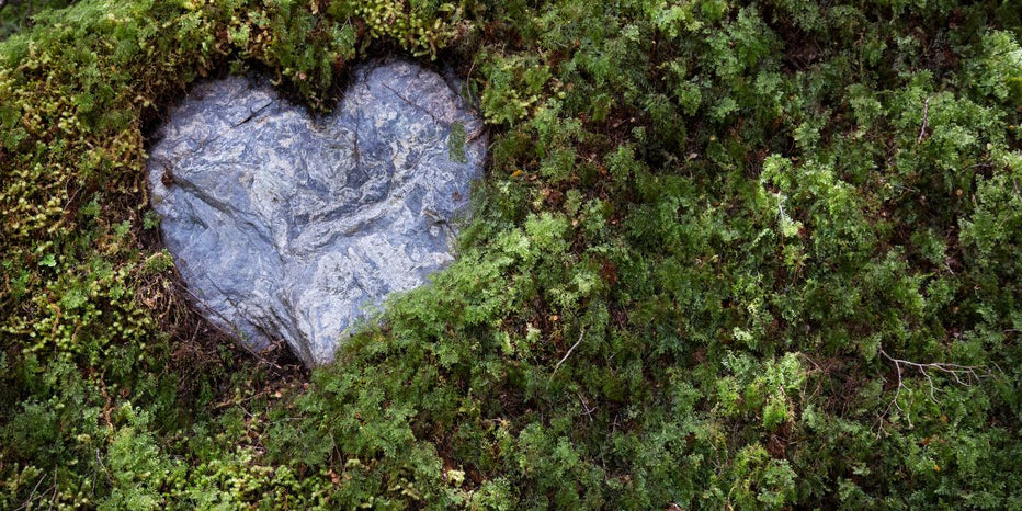 Our Mission – ORESTA mindful beauty