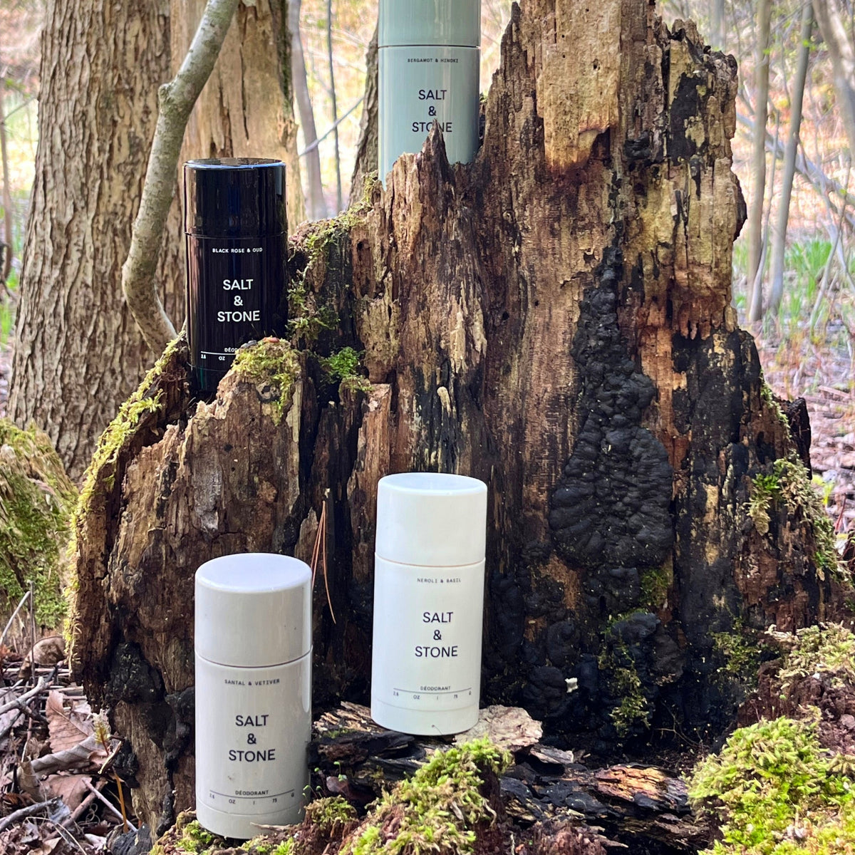 Salt & Stone Natural Deodorant | ORESTA Canada – ORESTA clean beauty ...